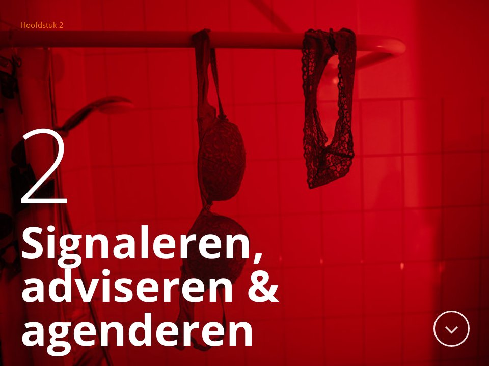 Signaleren, adviseren & agenderen - Het beeld van 2022